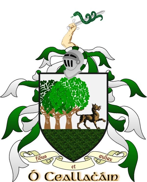 Descended From An Irish King – Ryan Callahan's Blog
